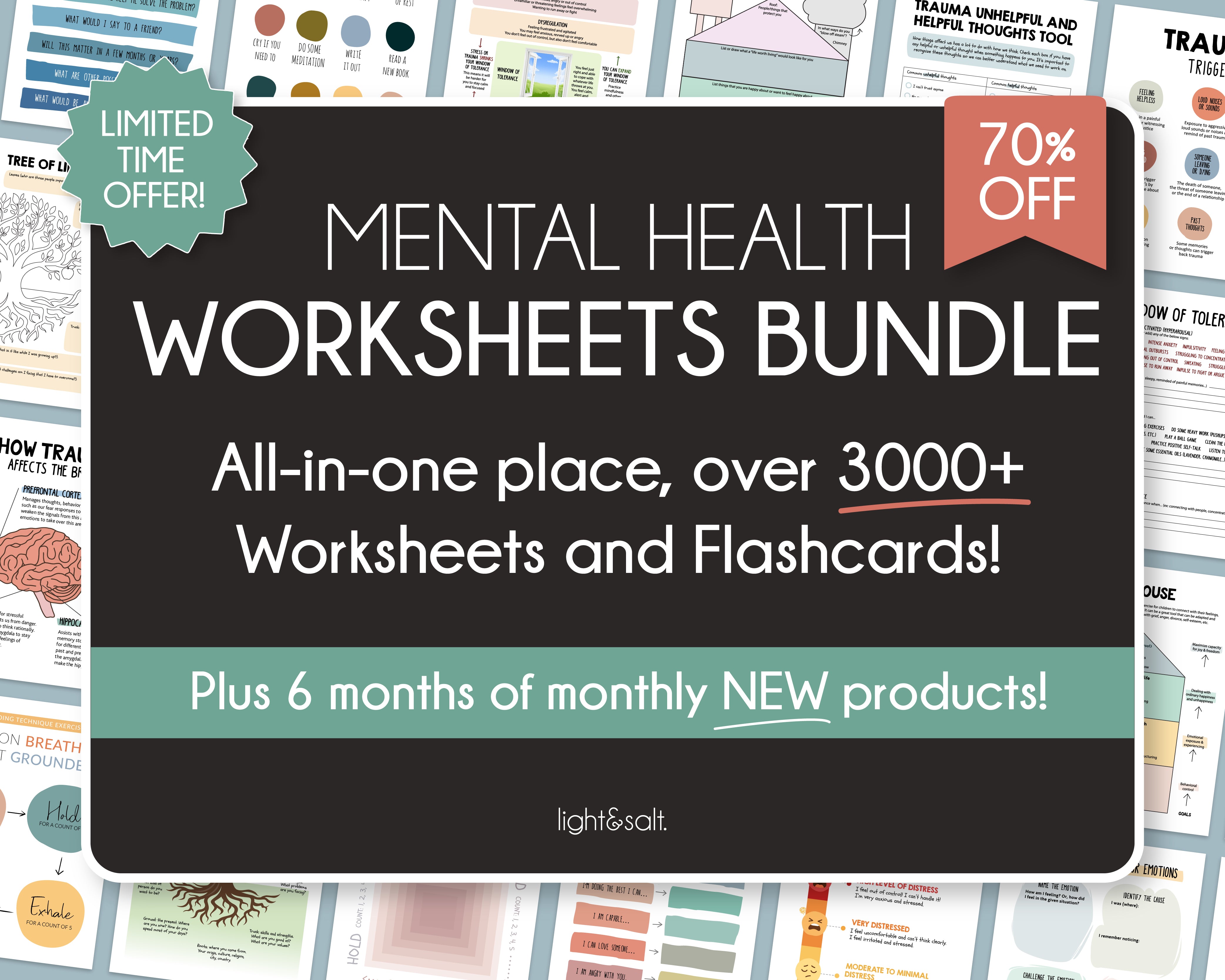 Whole Shop's Worksheets Mega Bundle – LightandSaltDesign