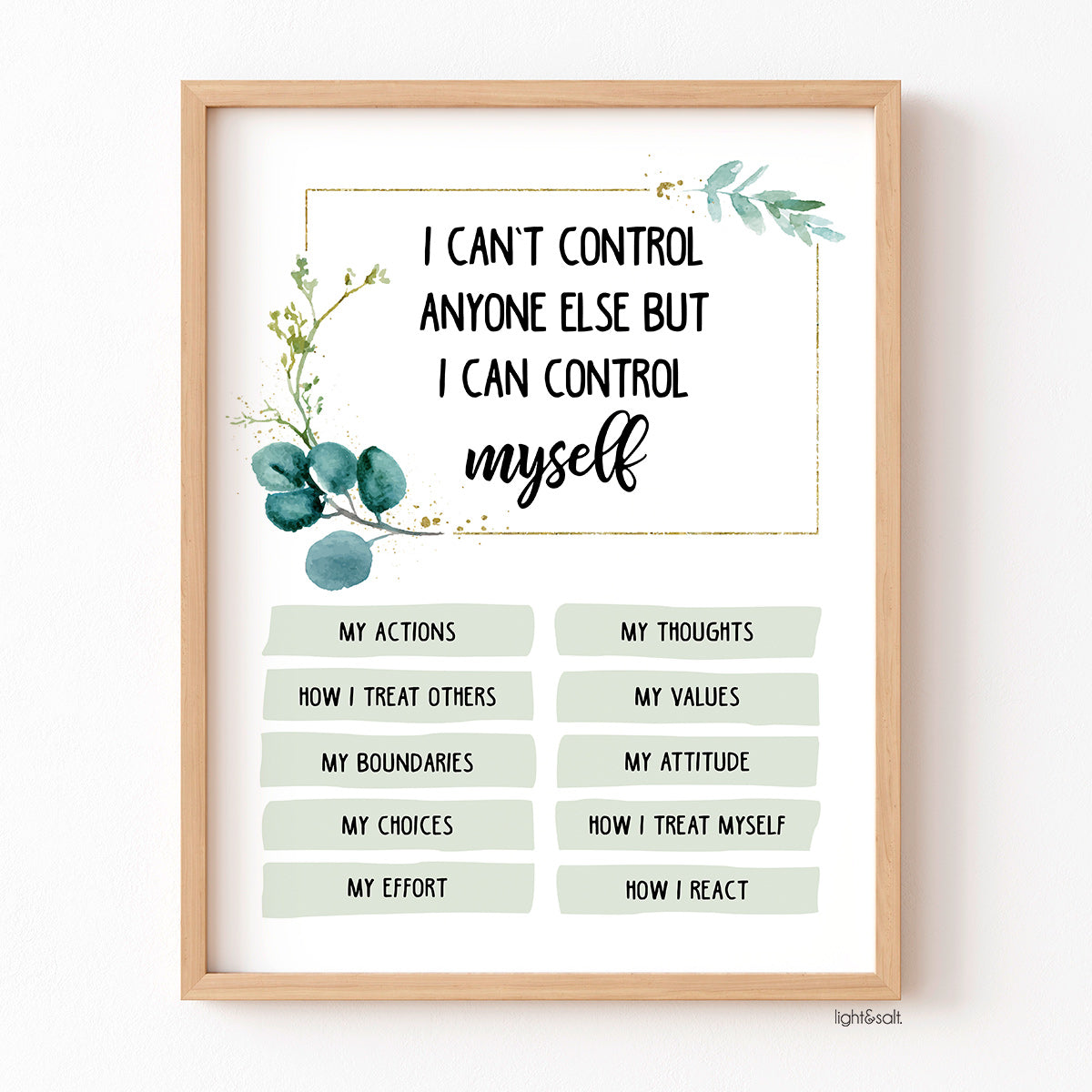 Things I can control poster, circle of control – LightandSaltDesign