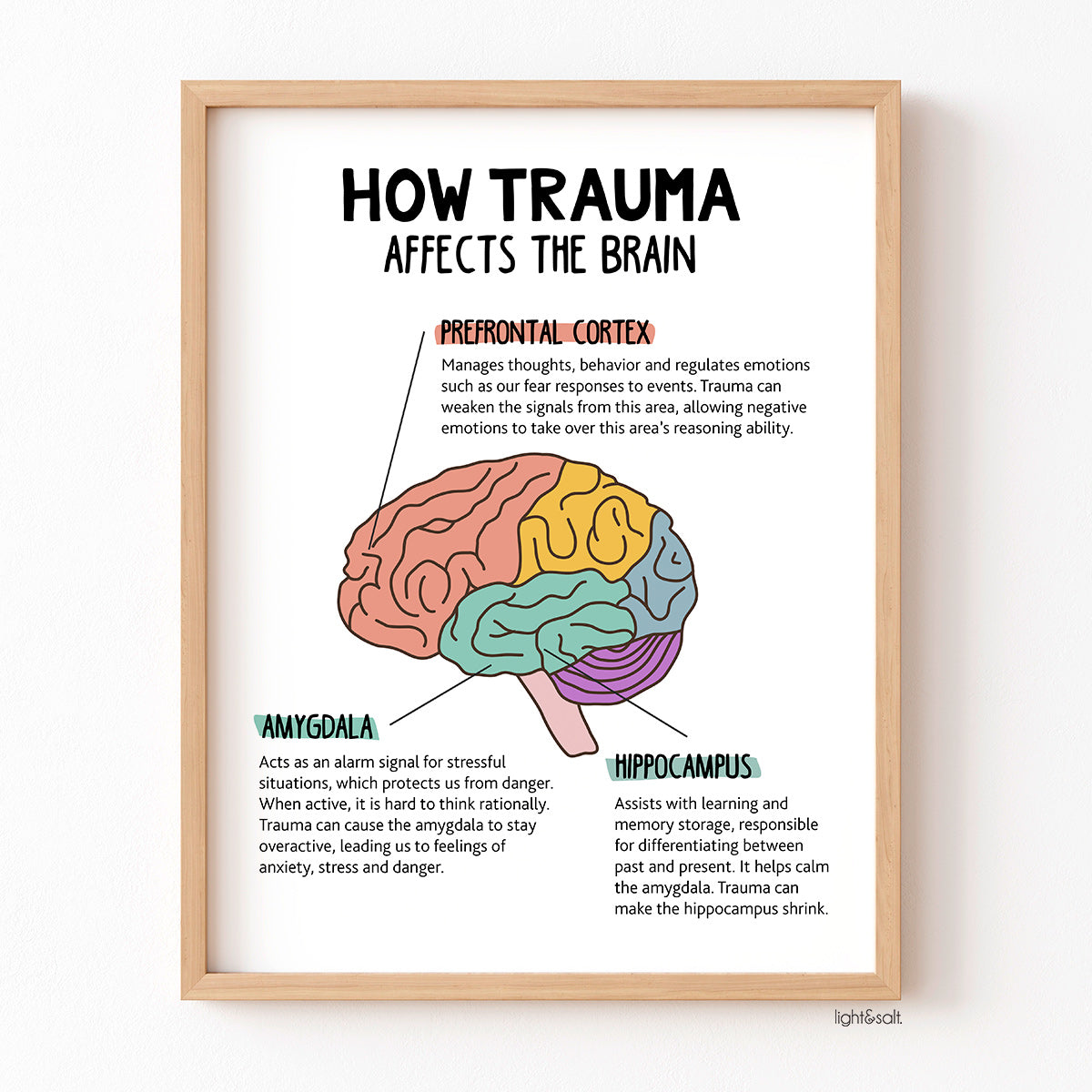 How trauma affects the brain poster – LightandSaltDesign