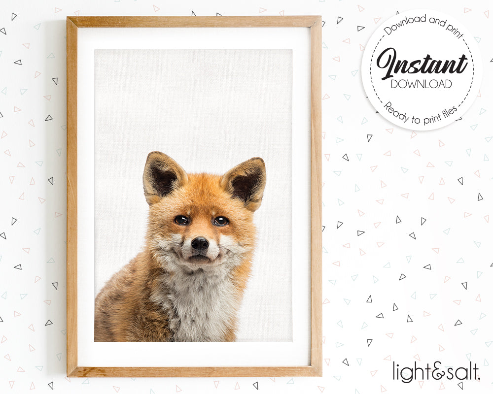 Baby fox nursery print – LightandSaltDesign