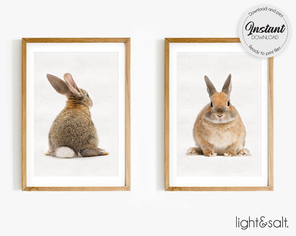 Bunny rabbit gallery wall set of 2 posters – LightandSaltDesign